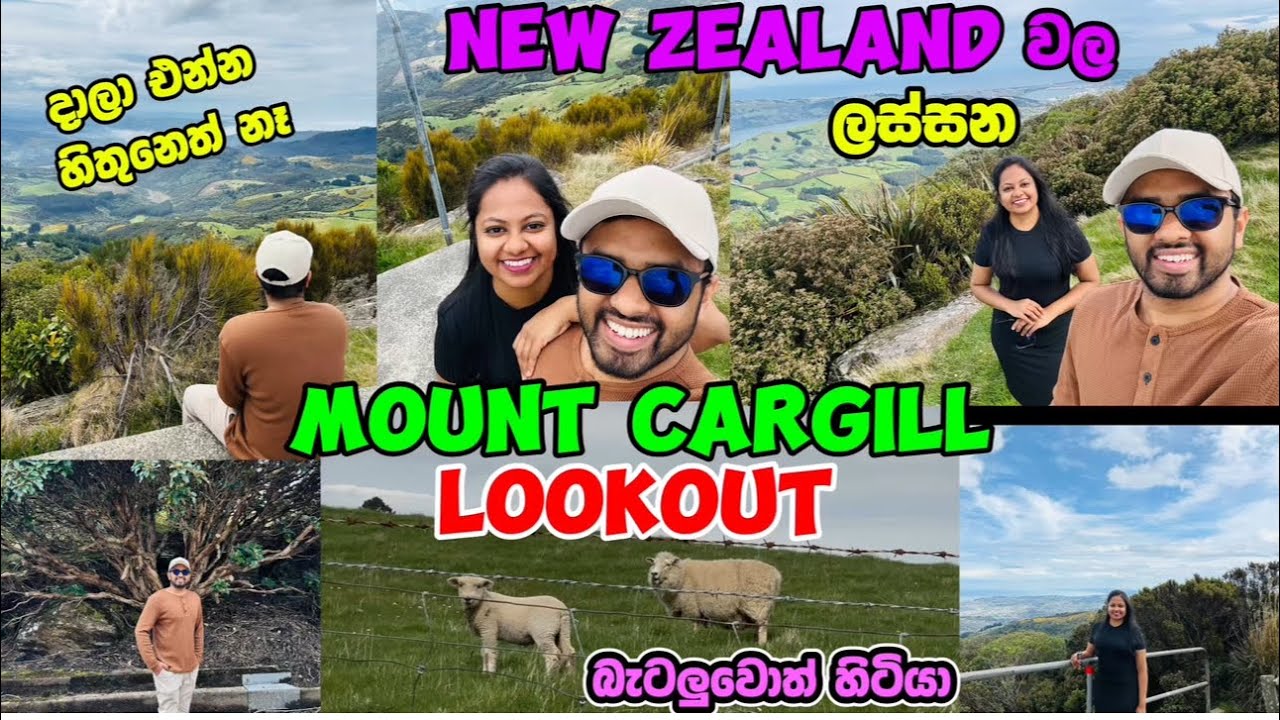 Newzealand කියන තරම් ලස්සනයිද? 😊 Vlog 06- Mount Cargill Lookout 🇳🇿 එකට ගියා w/ English sub # ...