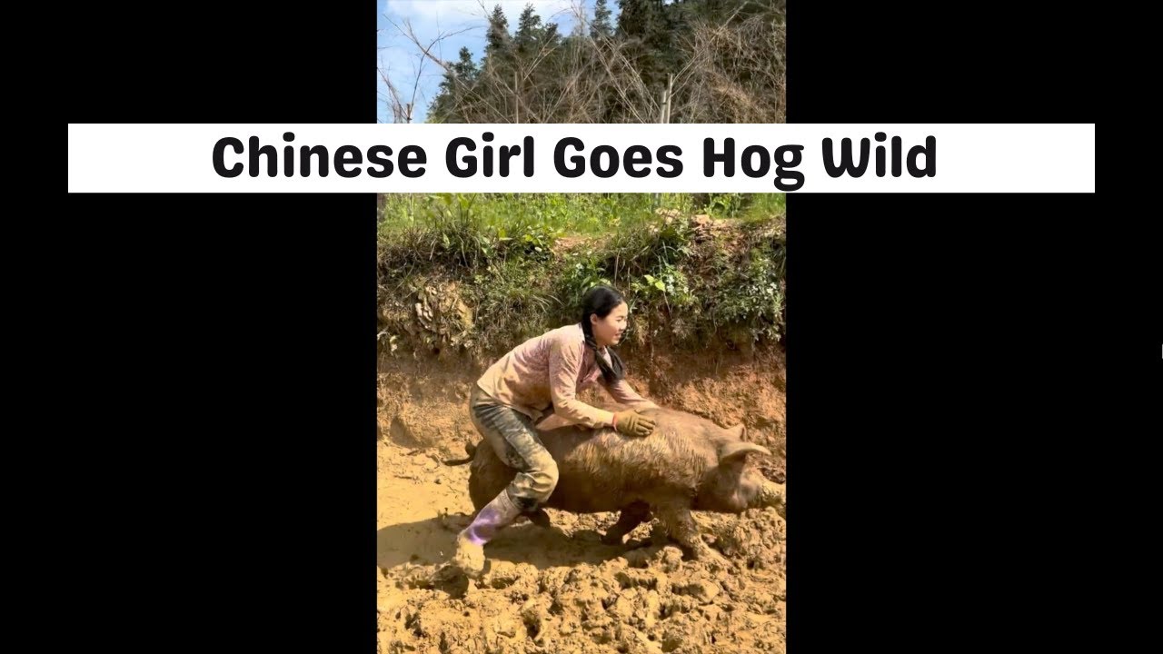 Chinese Girl Goes Hog Wild Riding a Big Pig - YouTube