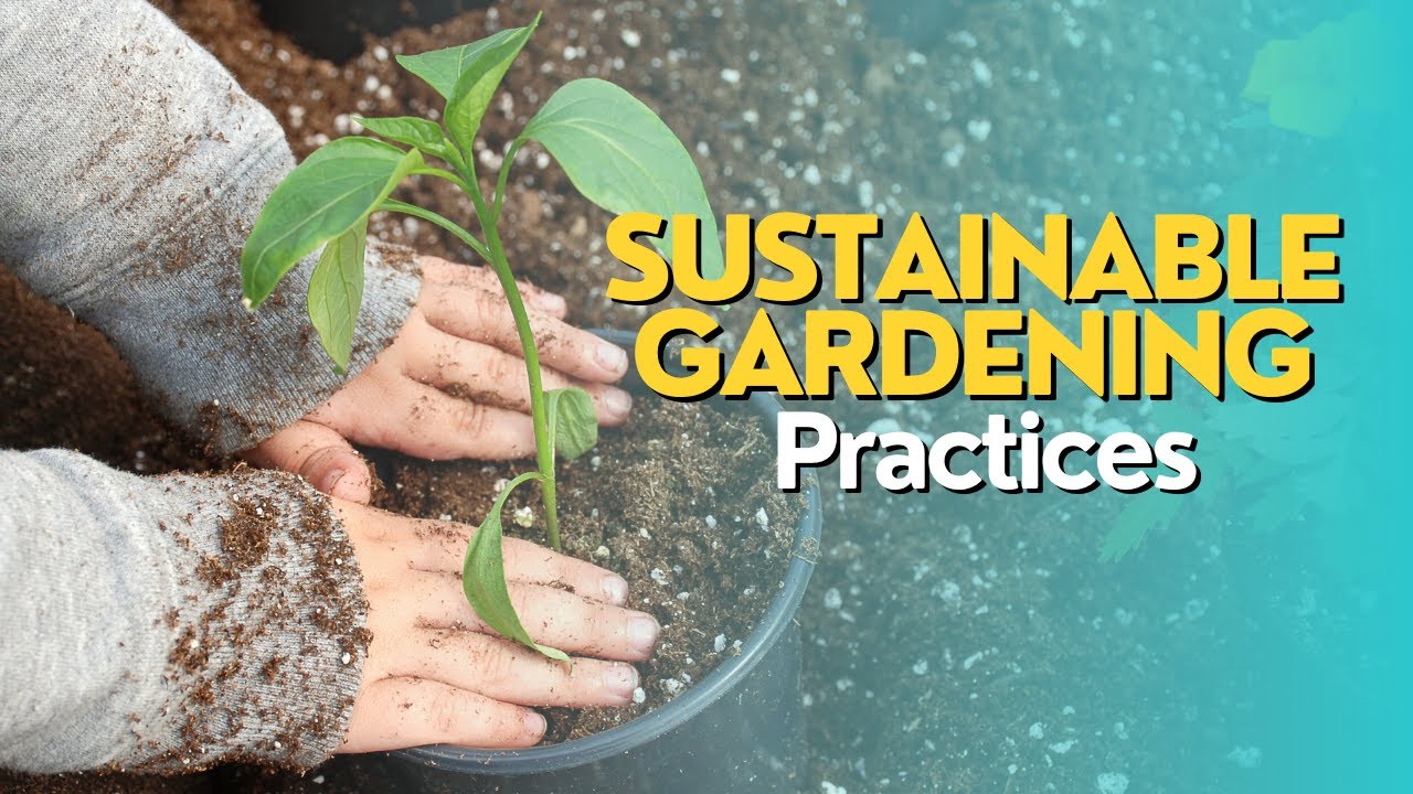 Sustainable Gardening Practices - YouTube