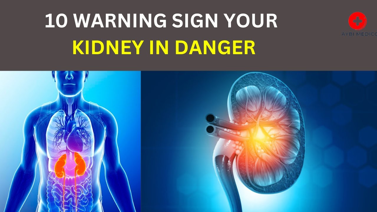 10 Warning Signs That Your Kidneys are Toxic | Chronic Kidney Disease ...