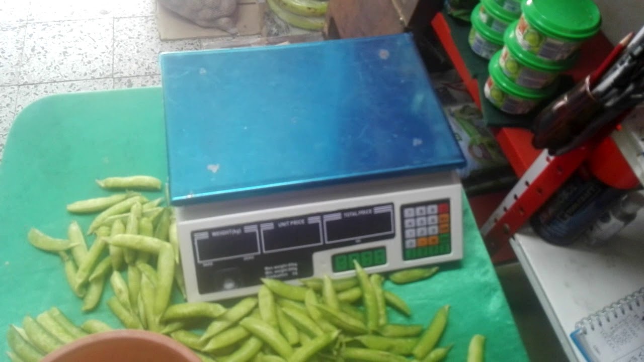 Quitar decimales báscula china, ACS ELECTRONIC PRICE DIGITAL SCALE ...