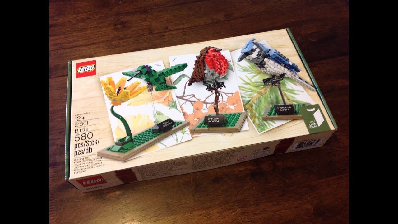 Lego 21301 Birds, Ideas #009 Robin, Blue Jay, green Violetear - YouTube