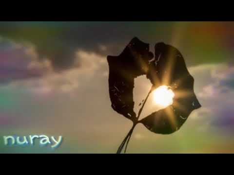 Nuray -çox gözel ifa