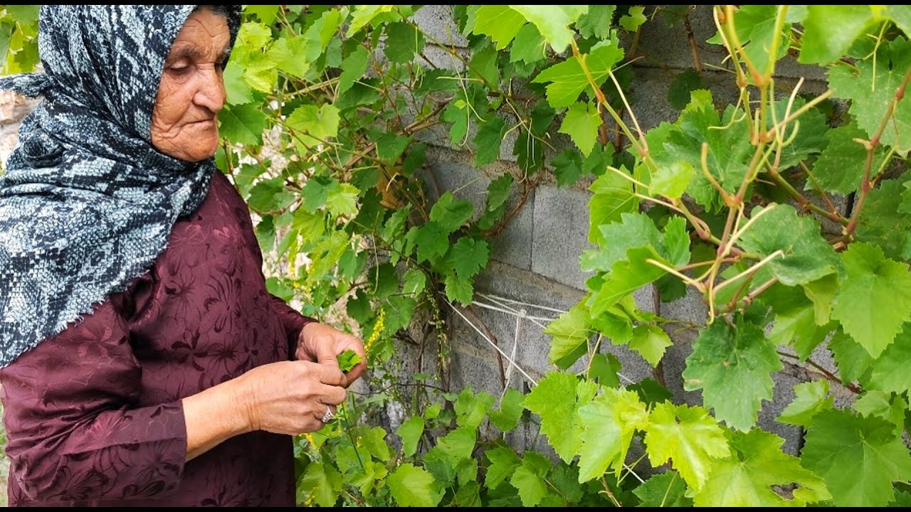 old lady cooking food in village_Cooking with the help of nature - YouTube