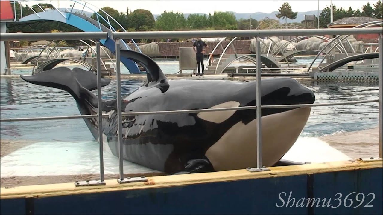 Freya up close - YouTube