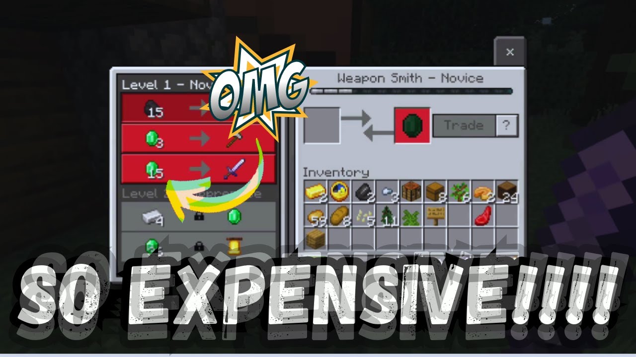 when your villager has such expensive trades... - YouTube