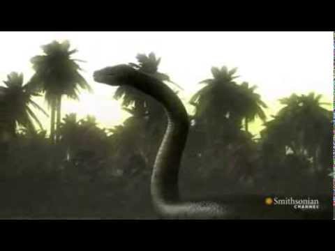 Titanoboa Giant preistoric snake ___ Titanoba VS T-Rex - YouTube