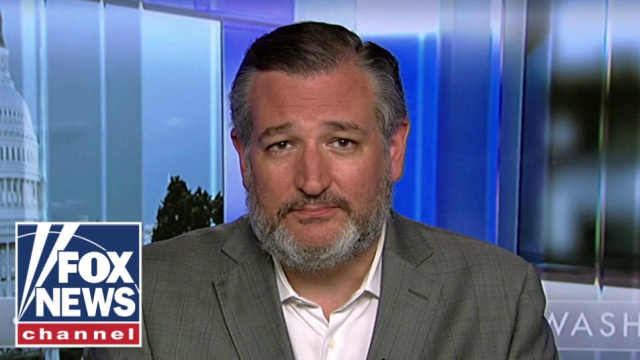 Ted Cruz: Democrats are 'laying out the red carpet' for terrorists ...