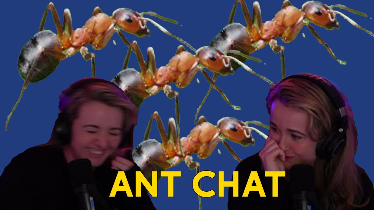 Ant chat makes me nostalgic - YouTube