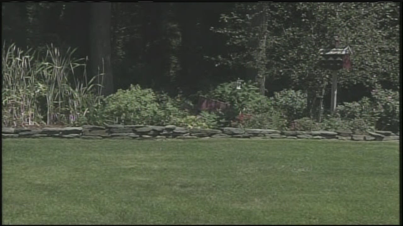 Mass Appeal Gardening tips with the Western Mass. Master Gardeners ...