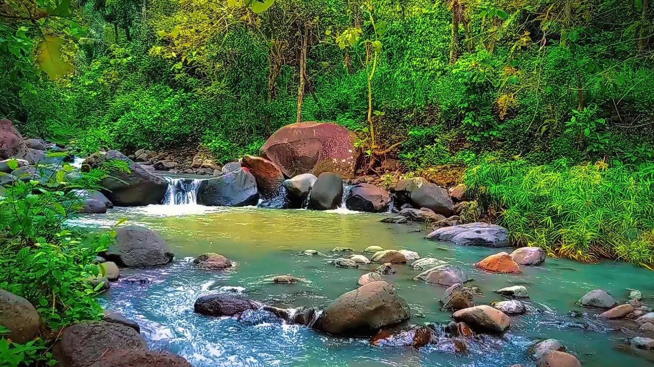 Calm Your Soul with Serene Waterfall and Gentle River Flow - YouTube