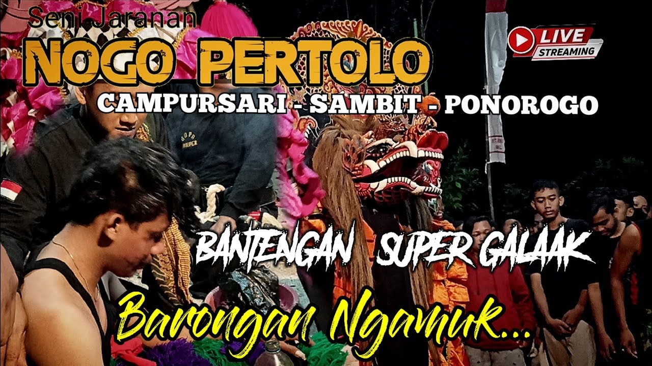 Live 🔴 SENI JARANAN " NOGO PERTOLO " - CAMPURSARI - SAMBIT - YouTube