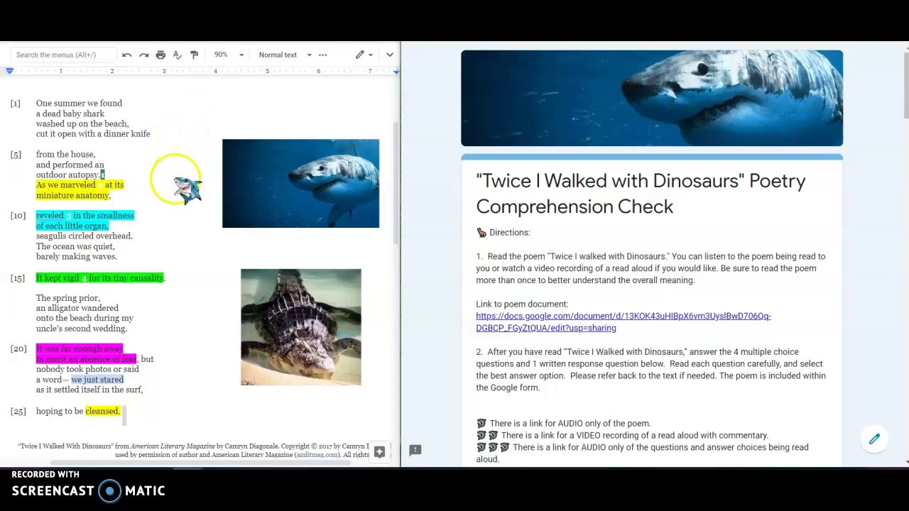 "Twice I Walked With Dinosaurs" Question and Answer Review - YouTube