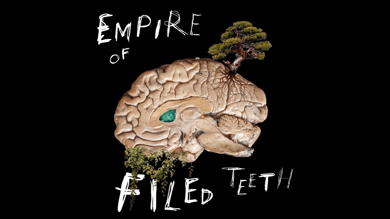 Empire of Filed Teeth (Full Album) - YouTube