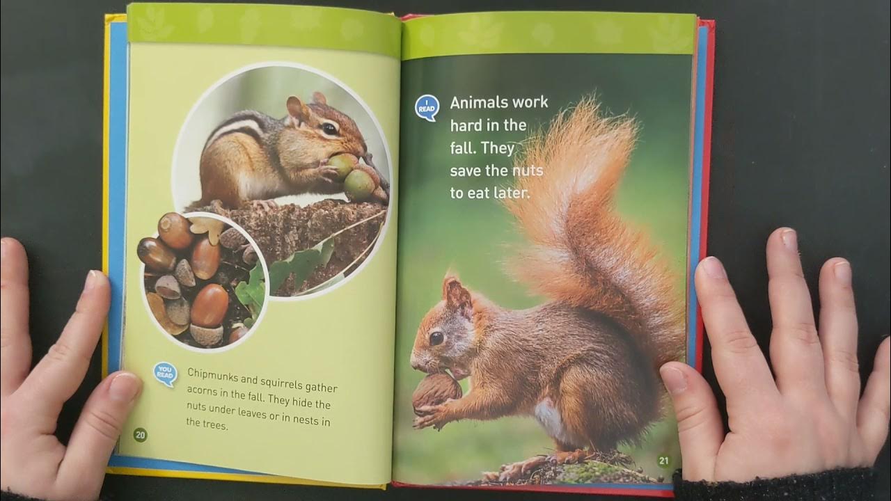 In the Forest - National Geographic for Kids - Read Aloud - YouTube