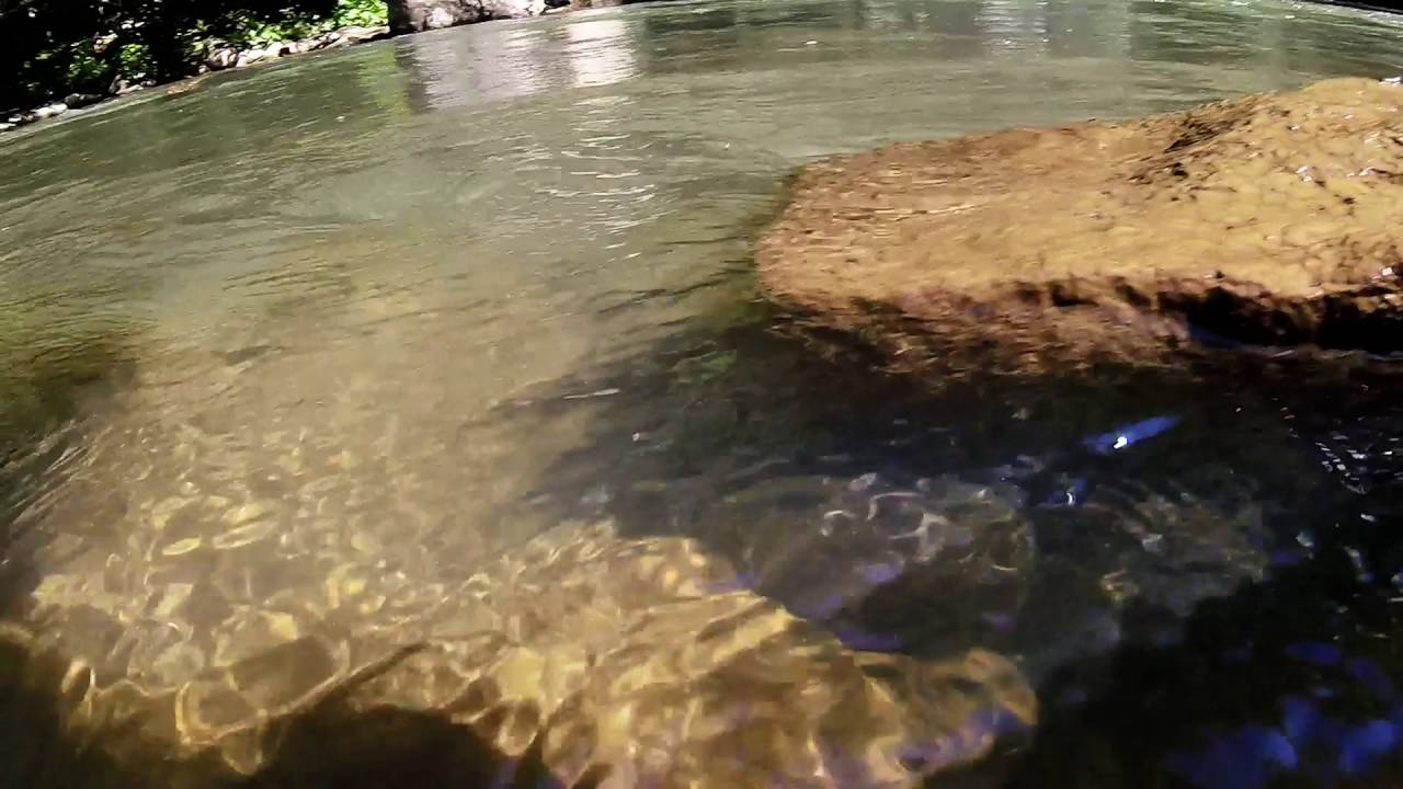 Meadow Run Brookie - YouTube