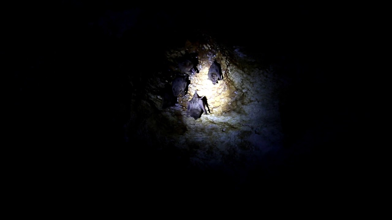 Ambrosio Cave in Varaderos Cuba - YouTube