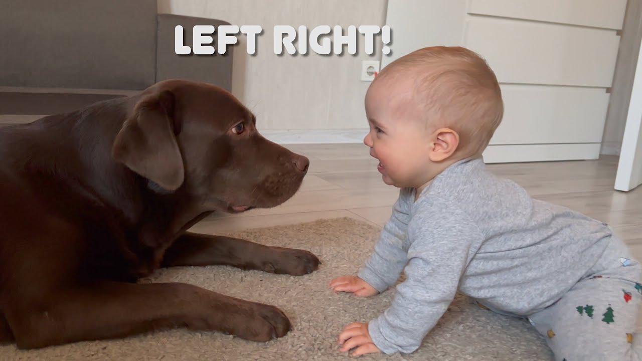 Cutest Crawl Ever! My Baby Tries to Teach Our Dog How to Crawl! - YouTube