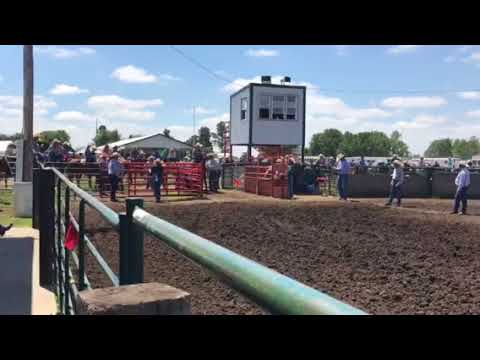 Tatum Roping left handed Huron 2018 - YouTube