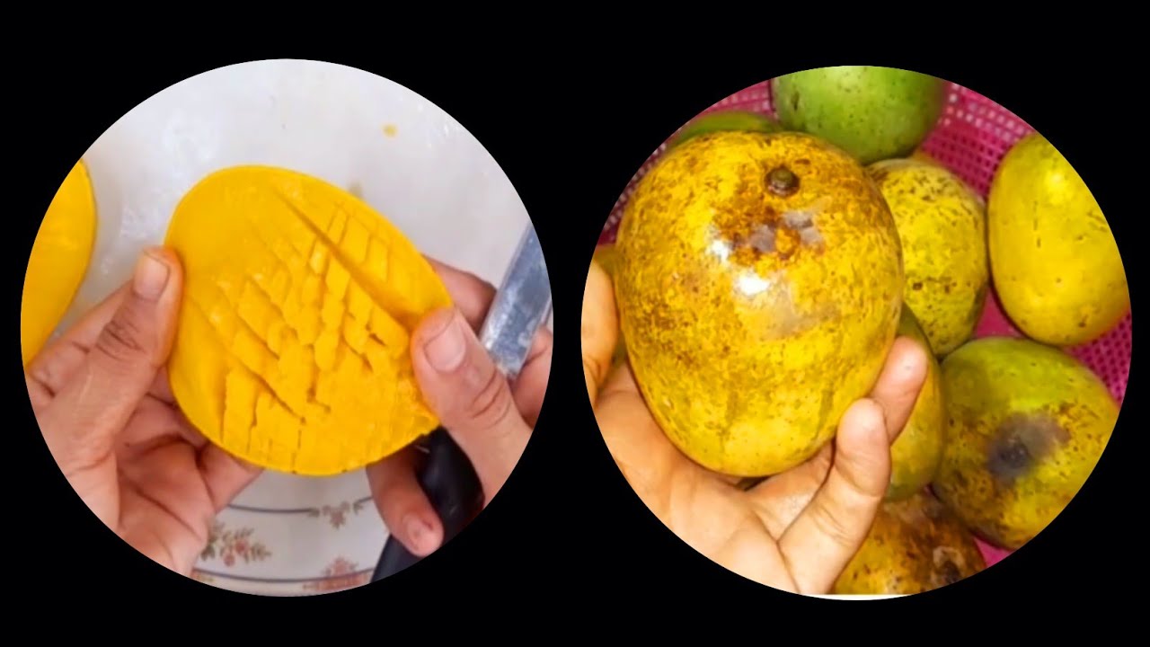 Plate Decoration Ideas With Garnish/ Beautiful Mango 🥭 Plate Design ...