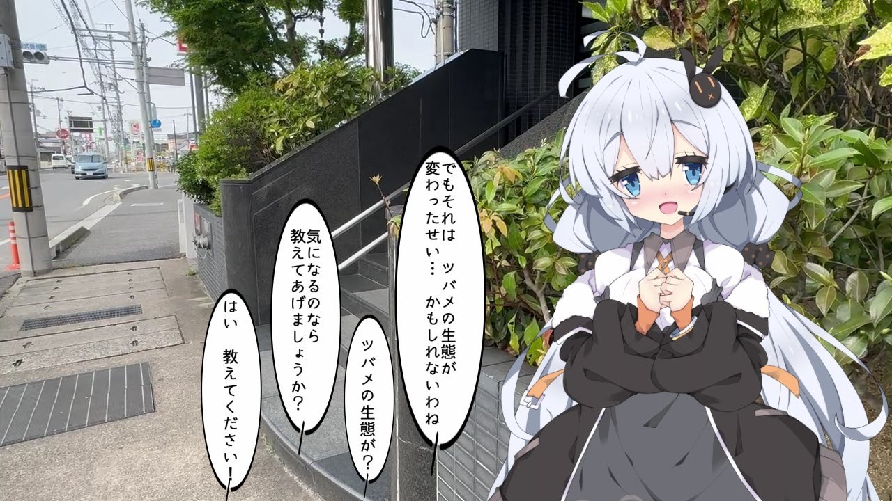 【SCP動画】 教えて！ゆかり先輩 SCP-3283-JP - 鳥の巣頭 - YouTube