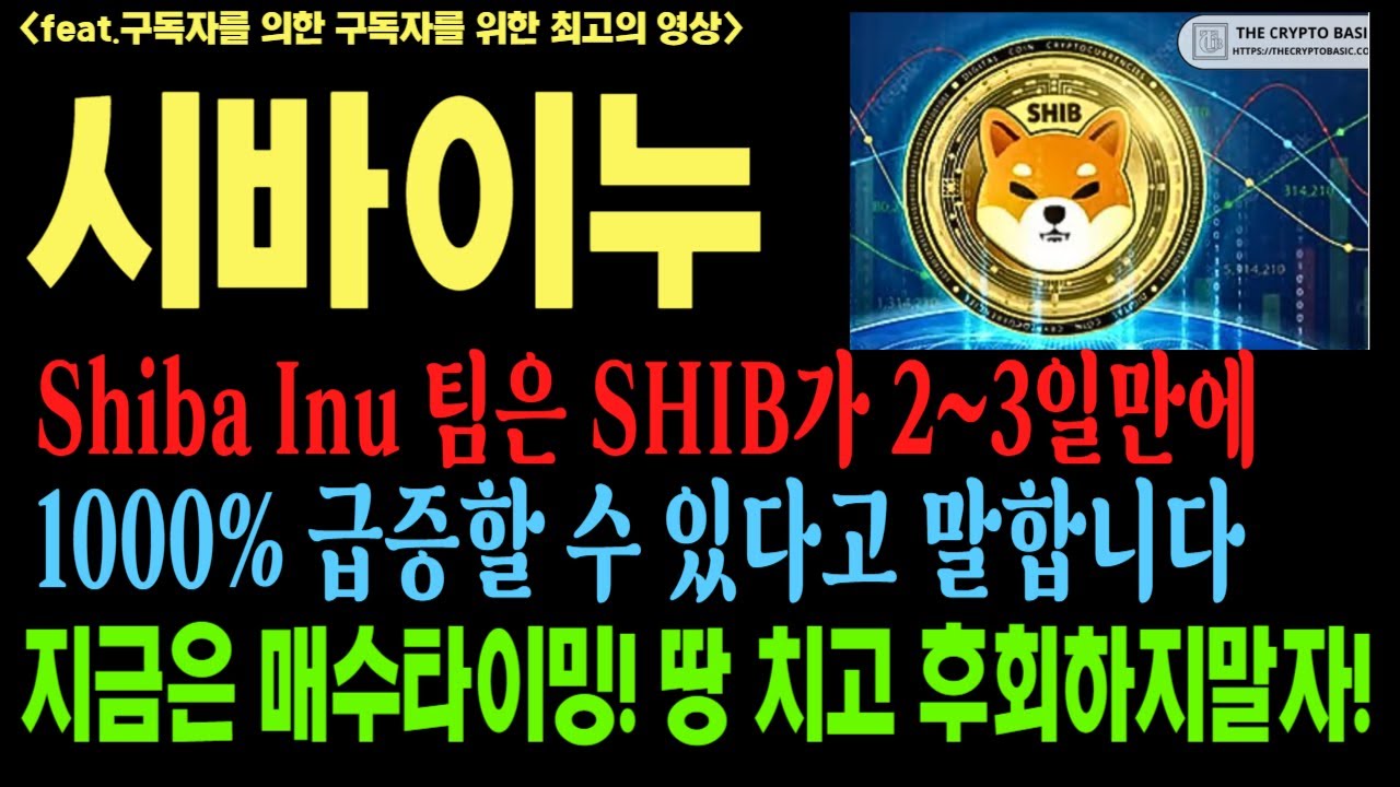 시바이누 시바이누코인 시바이누코인전망 SHIB DOGE 코인전망 비트코인 이더리움 도지코인 - YouTube