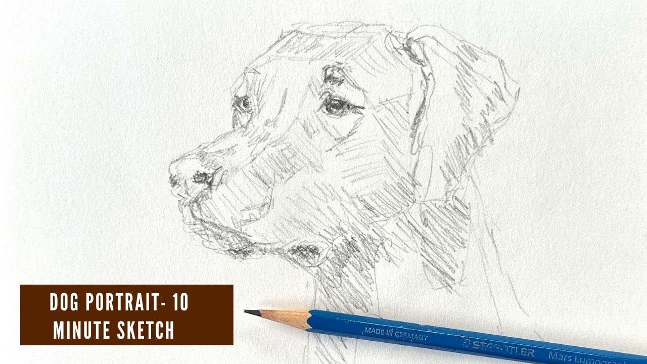 Dog portrait 10 minute sketch in real-time - YouTube