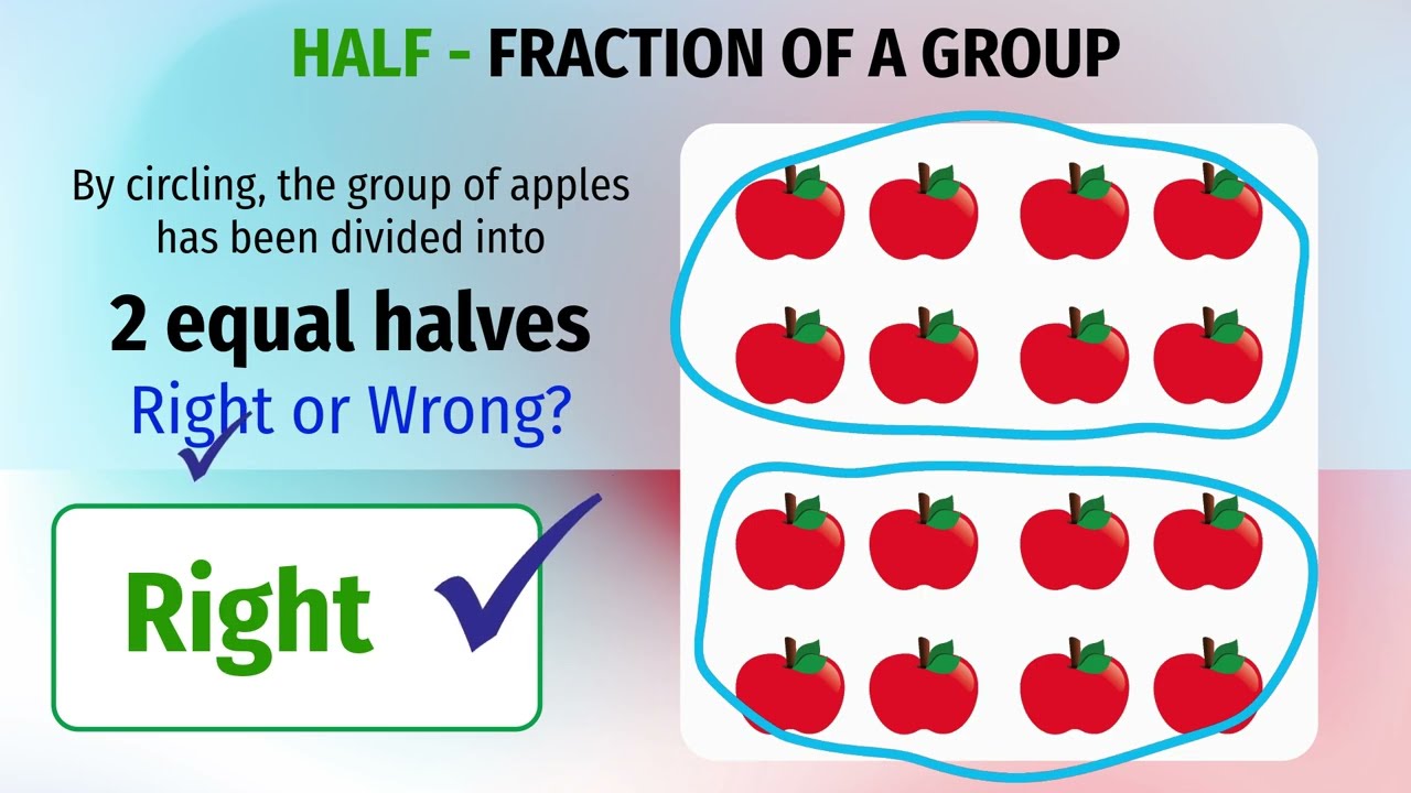 Half Fraction Picture