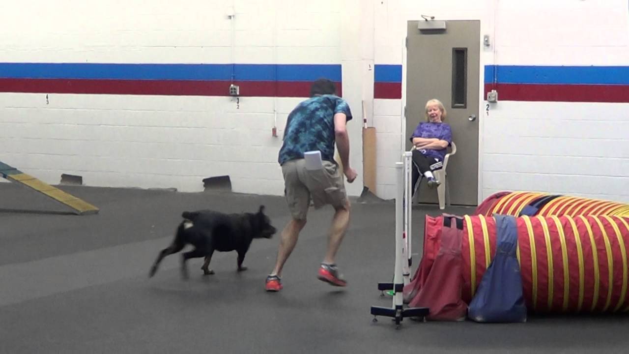 Portia Standard Banda 050716 - YouTube