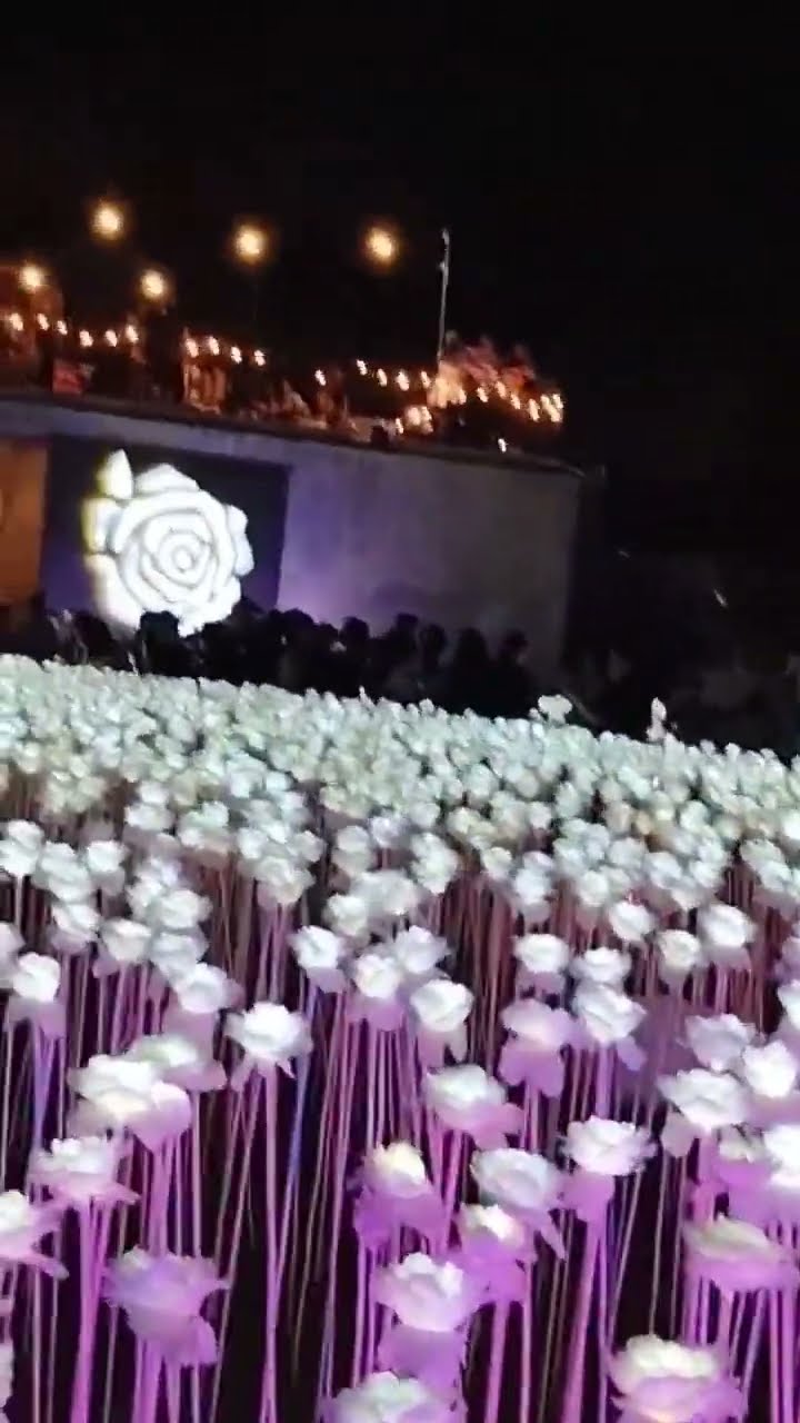 #10000 ROSES #viralshortvideo - YouTube