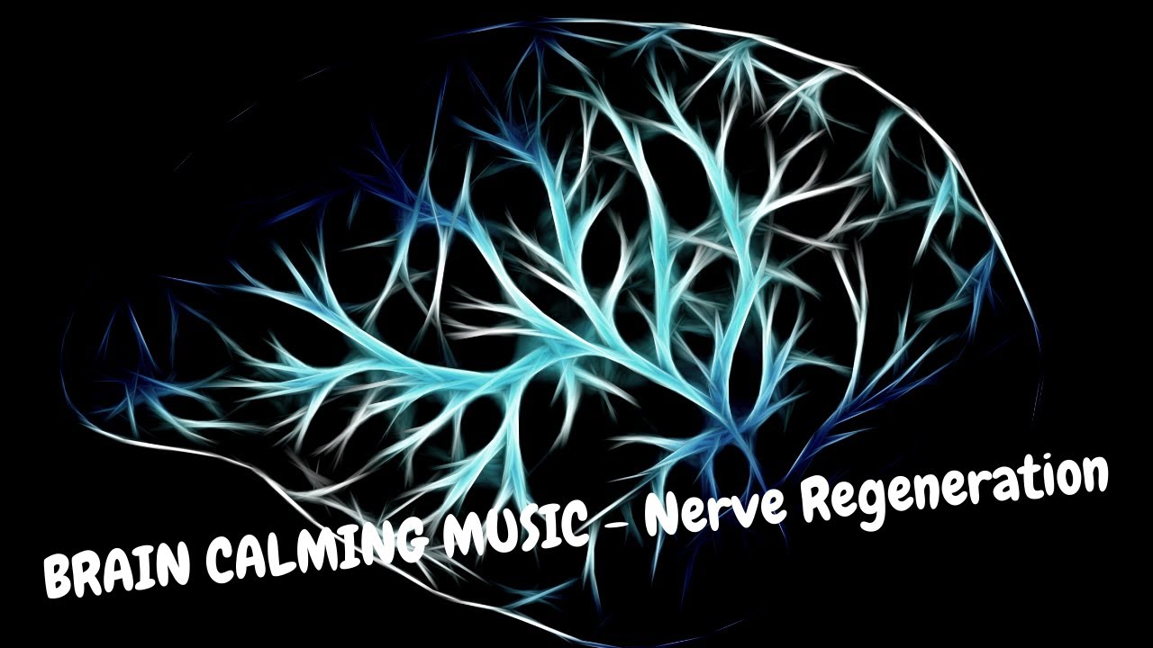 BRAIN CALMING MUSIC - Nerve Regeneration & Stress Relief - Brain Wave ...