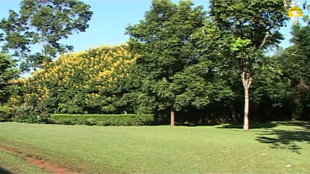 Lujeri Lodge, Mulanje, Malawi - © Abendsonne Afrika - YouTube