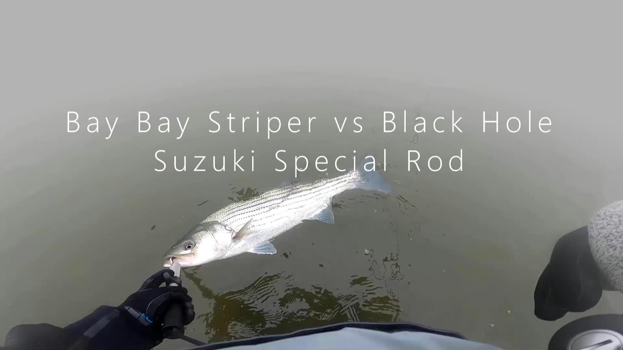 BACK BAY STRIPED BASS FISHING in the FOG - BLACK HOLE SUZUKI SPECIAL 9 ...