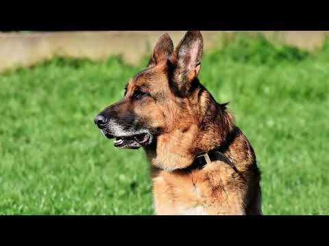 003 25 2 We got burgled last night  lesson