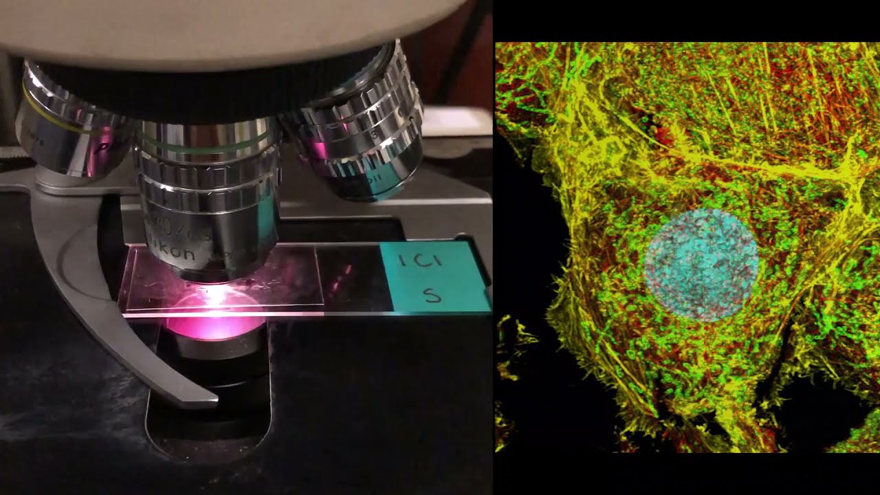 Curious About: Innovation - Lasers, Microscopes and Virtual Reality - YouTube