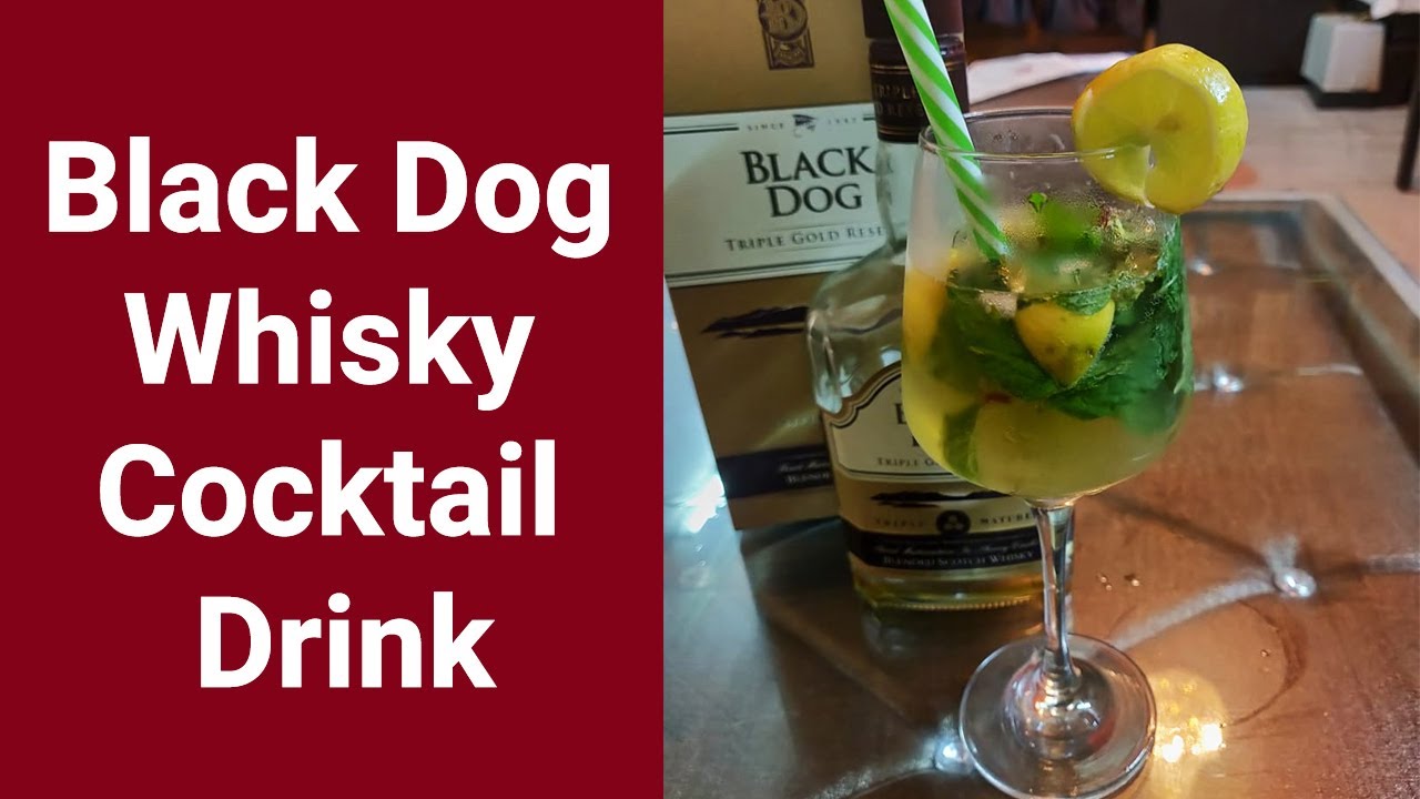 Black Dog Whisky Cocktail Drink ! व्हिस्की से कॉकटेल ड्रिंक कैसे बनाये ...