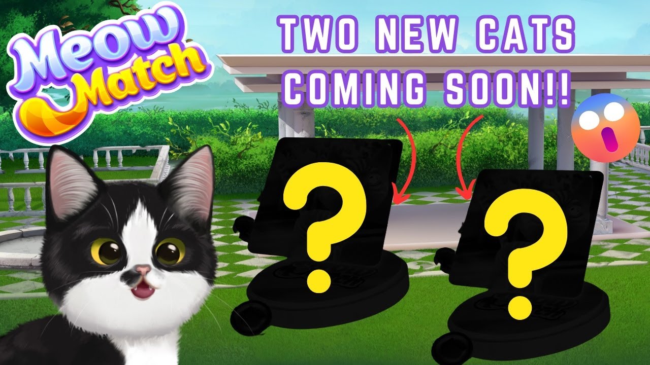 Meow Match AMA for July 20th 2023 - YouTube