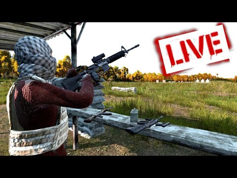 🔴 LIVE - DayZ Livonia punch card hunting #2 - YouTube