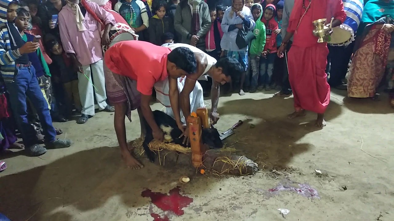 kali pujor patha boli... - YouTube