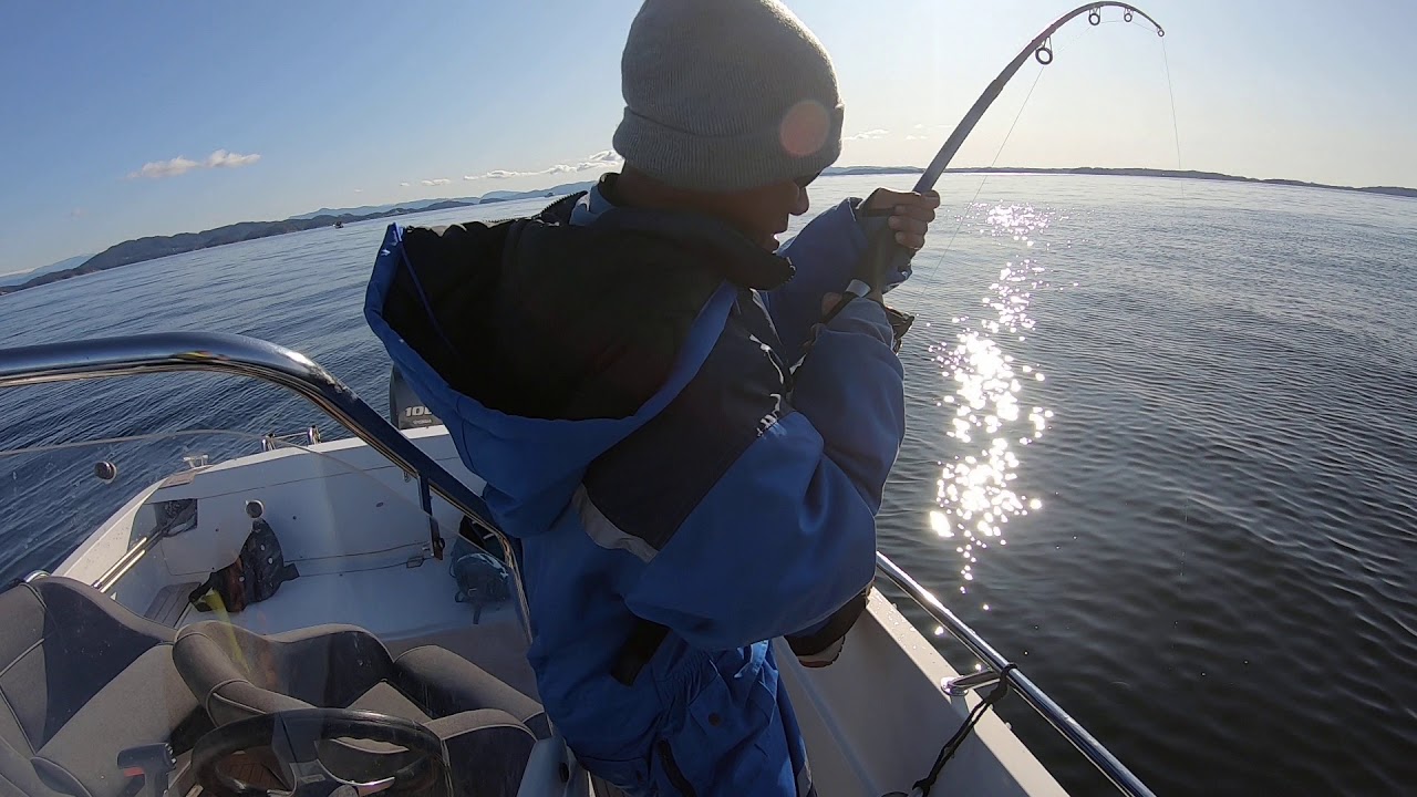 Fishing sei fish in bergen. - YouTube