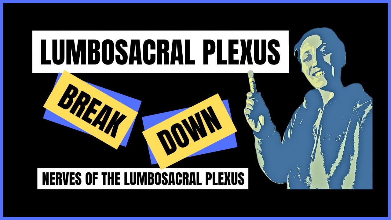 Lumbosacral Plexus Breakdown : Learn the Nerves of the Lumbosacral Plexus - YouTube
