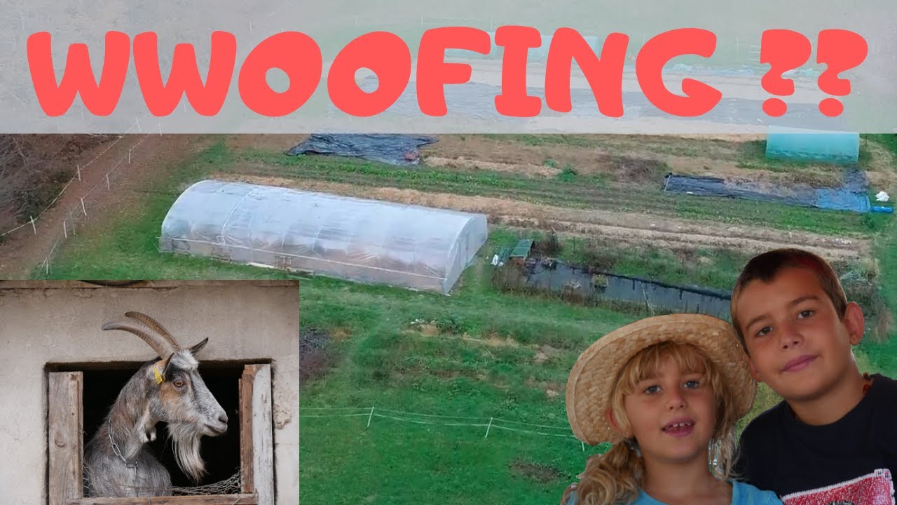 WWOOFING - YouTube