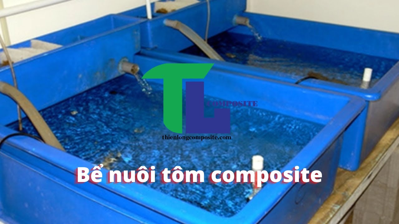 Bể nuôi tôm composite - Thiên Long Composite - YouTube