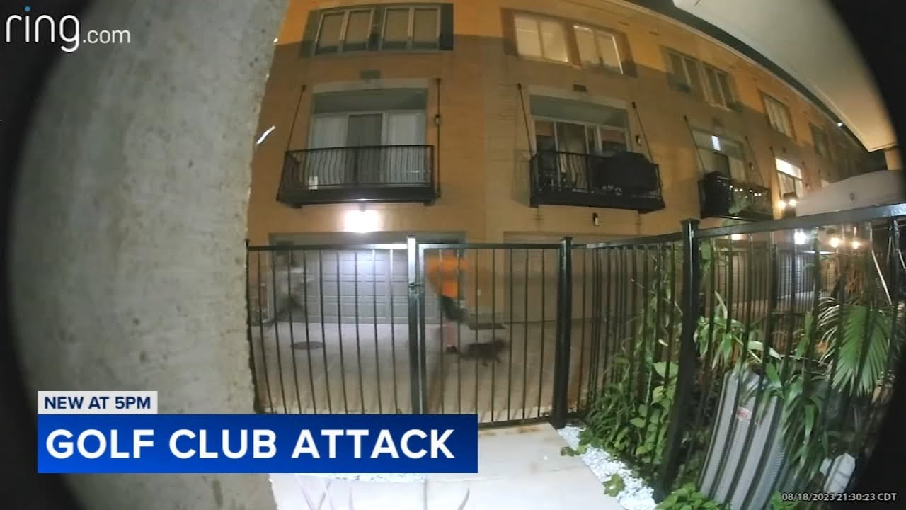 Man attacked with golf club while walking dog in River West - YouTube