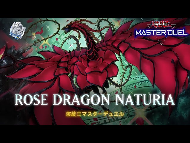 Stardust Dragon And Black Rose Dragon