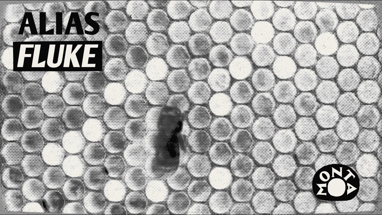 ALIAS - FLUKE (Official Audio) - YouTube