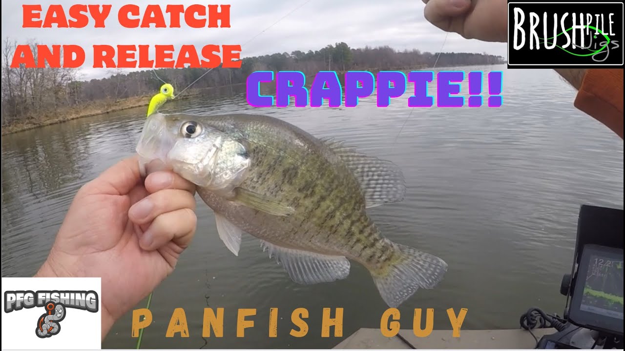 Easy Catch and Release Crappie! - YouTube