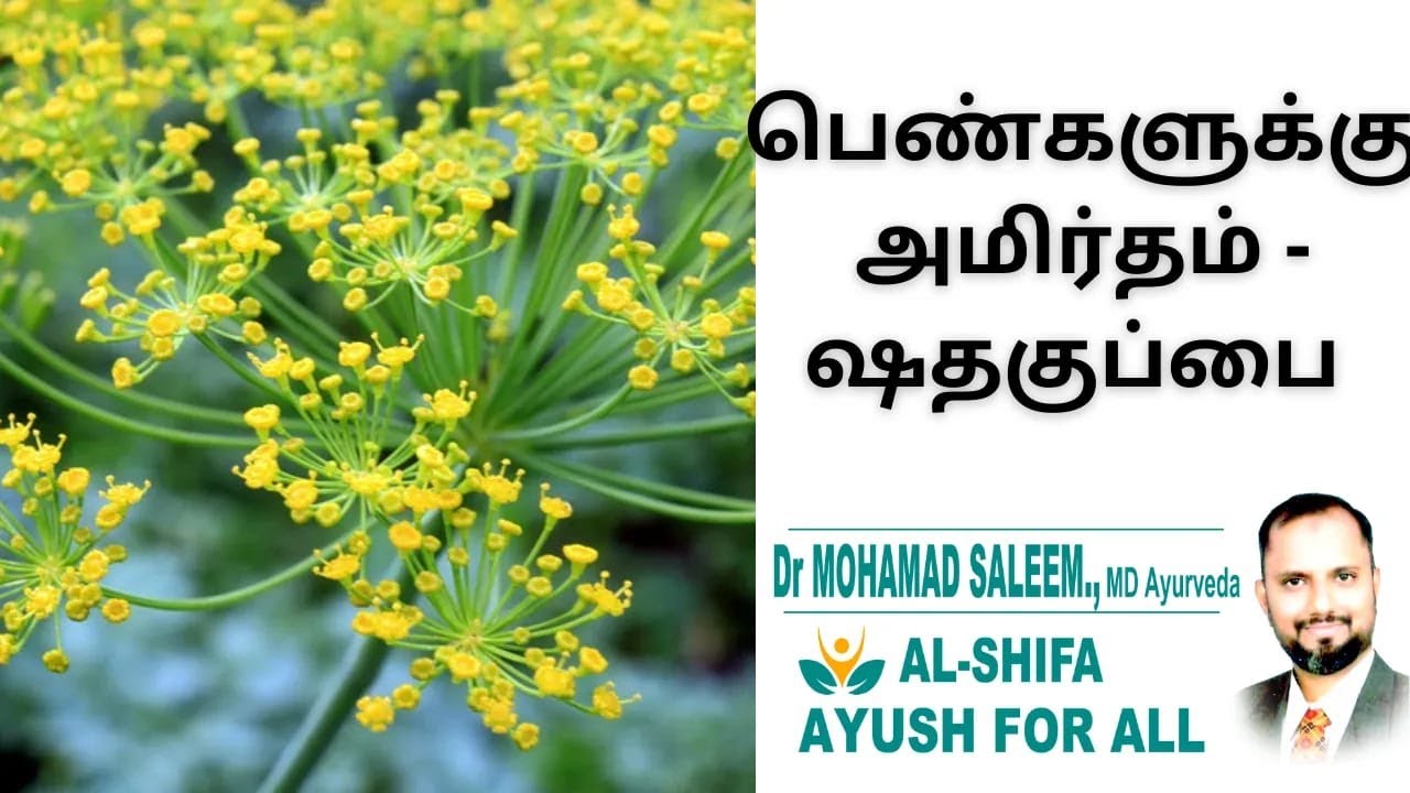பெண்களின் நோய்களுக்கு பெரும் தீர்வு தரும் ஆயுர்வேத அருமருந்து சதகுப்பை ...