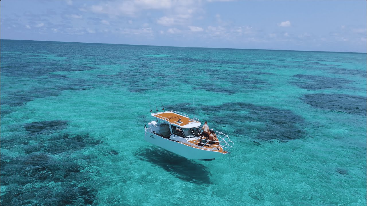 Fishing and Spearfishing Adventure on the Great Barrier Reef | Seaking ...