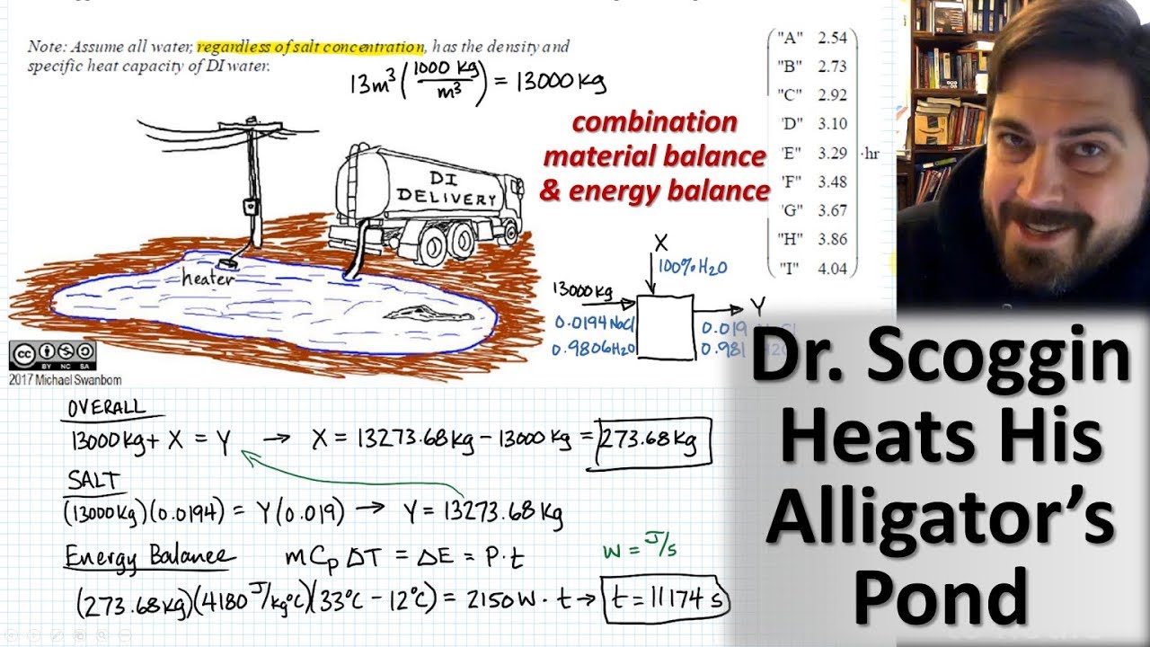 Dr. Scoggin Heats His Alligator Terrabite's Pond After Correcting ...
